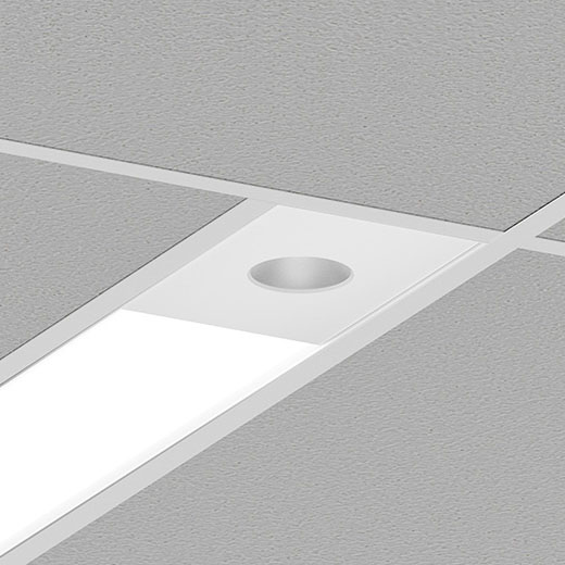 Beam 4 luminaires - Speclight
